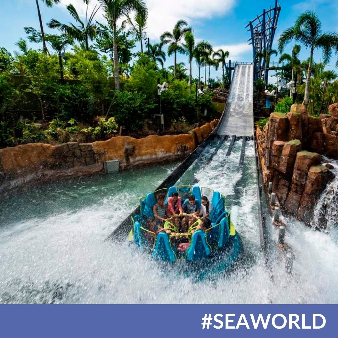 Sea World Is Offering Free Admission For Veterans And Their Families ...
