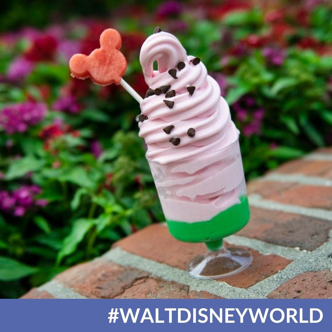 Disney Springs Brings Back Watermelon DOLE Whip at Marketplace Snacks ...