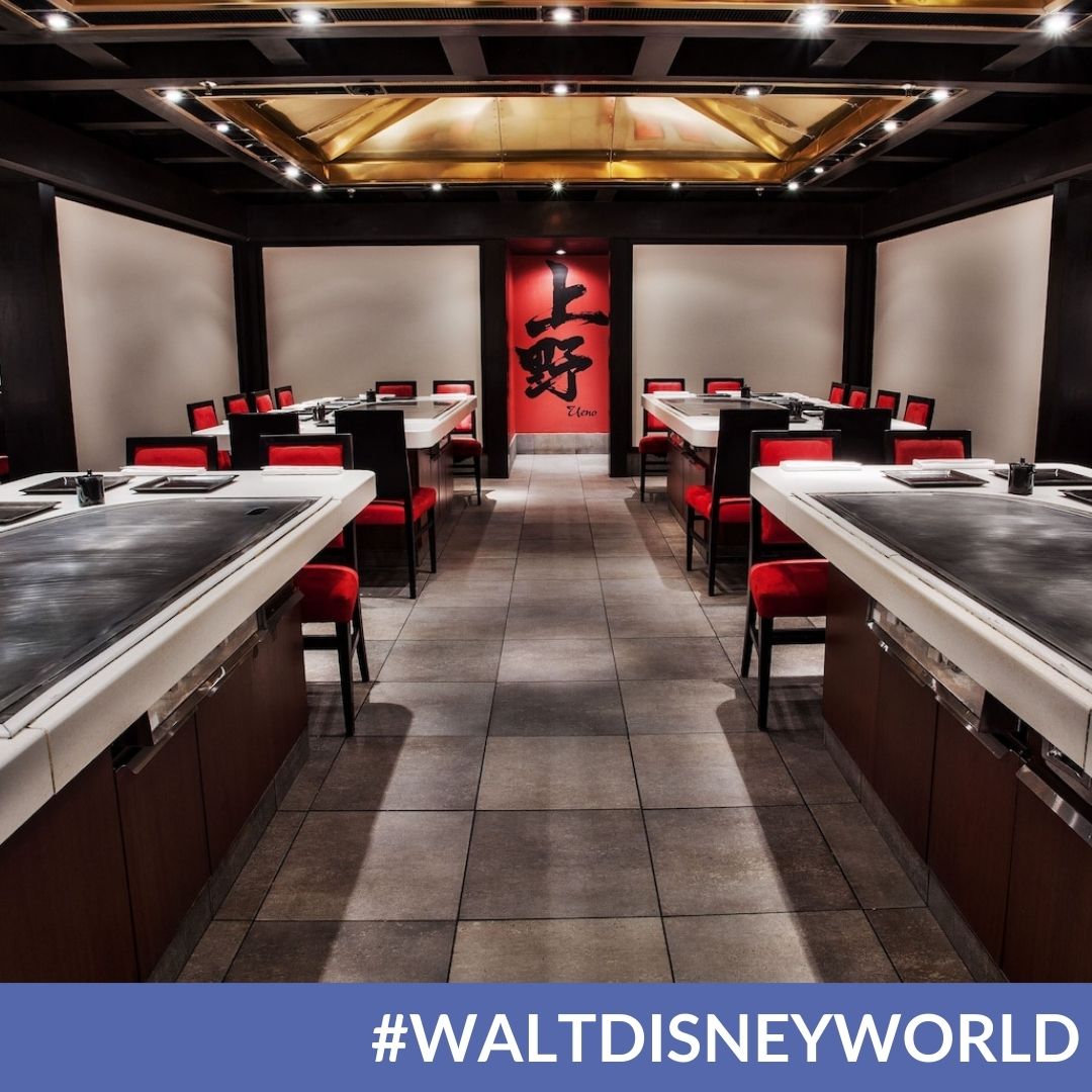 Full Teppan Edo Dining Experience at Disney's Epcot - The Go To Family