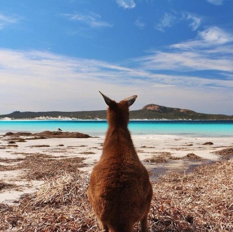 Top Family-Friendly Cities in Australia - The Go To Family
