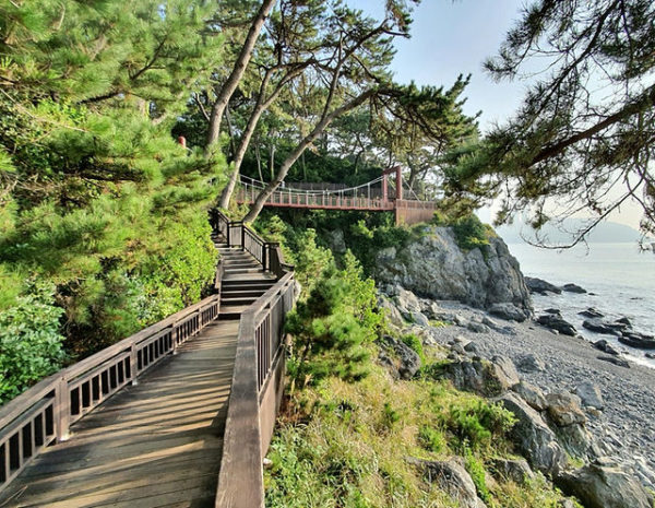 20 Best Things to Do in Busan, South Korea in 2023 - The Go To Family